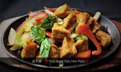Angkor Southeast Asian Delight - Authentic Chinese, Thai, Vietnamese ...